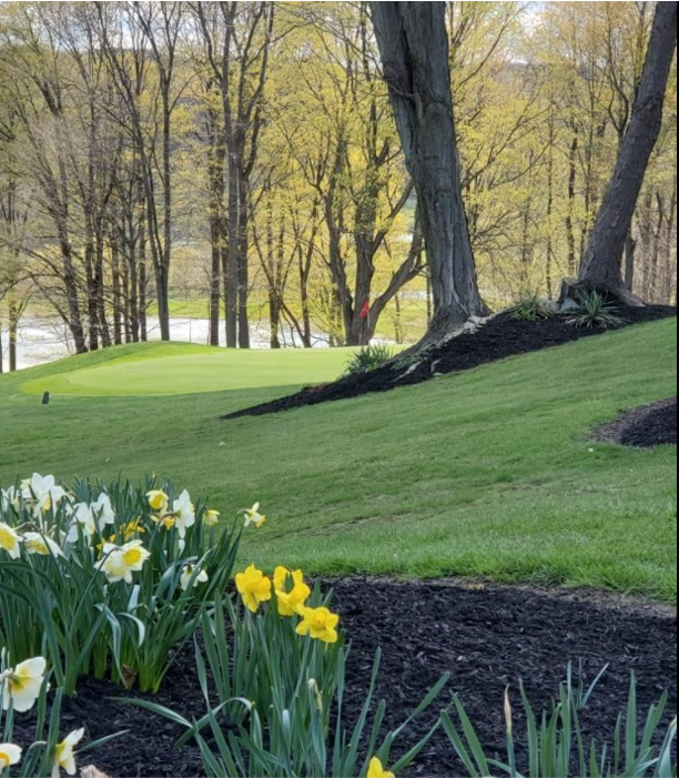 Public Golf Resort Buffalo NY Buffalo's Best, Country Club Quality